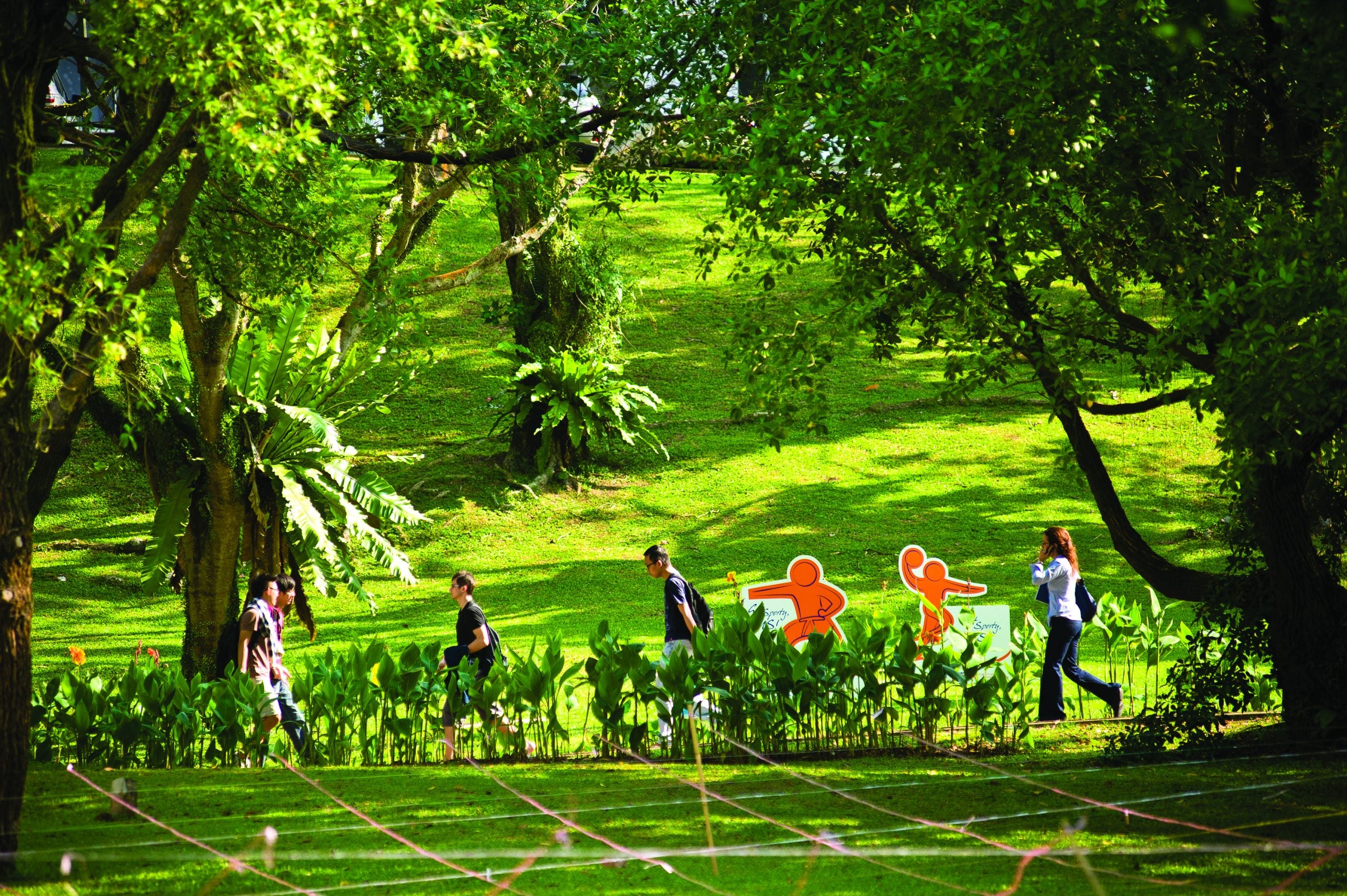 Sustainability - NUS Business School